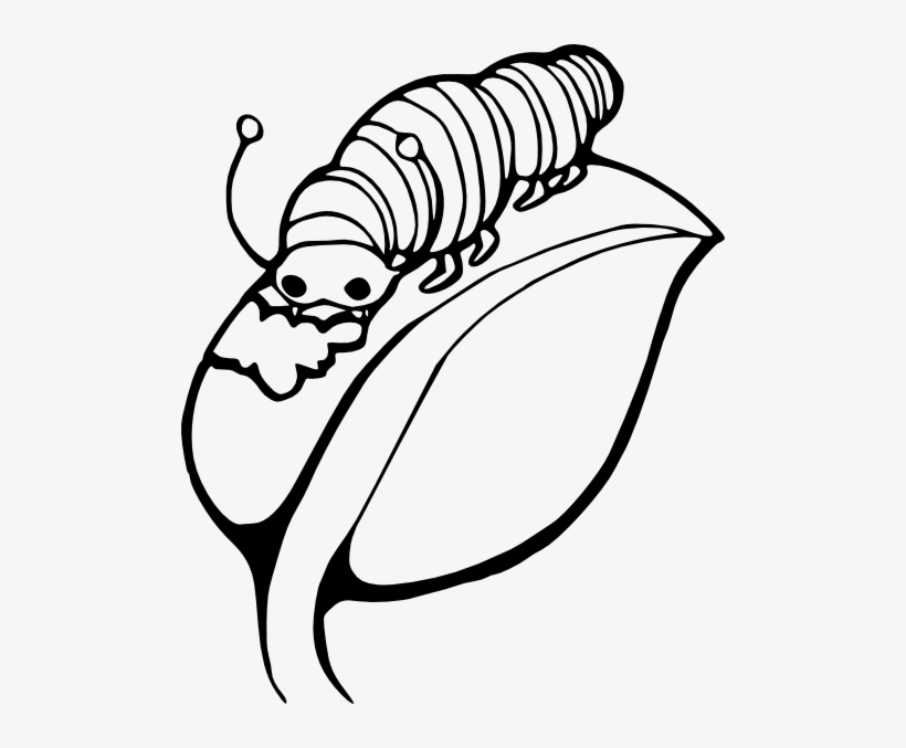 Worm Clipart Silkworm - Caterpillar On A Leaf Clipart Transparent PNG ...