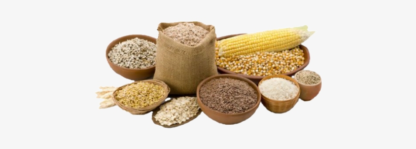 Commodities Grain Png - Grains And Cereals Transparent PNG - 483x250 - Free Download on NicePNG
