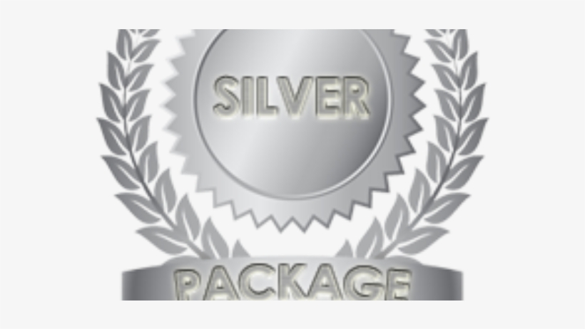 Silver Package Transparent PNG - 614x381 - Free Download on NicePNG