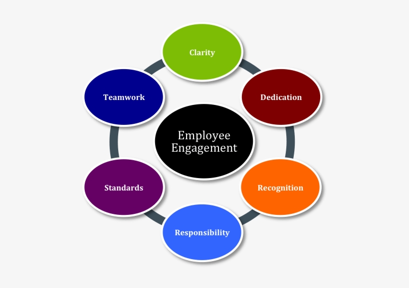 Download Employee Engagement - Drivers Of Employee Engagement - HD ...
