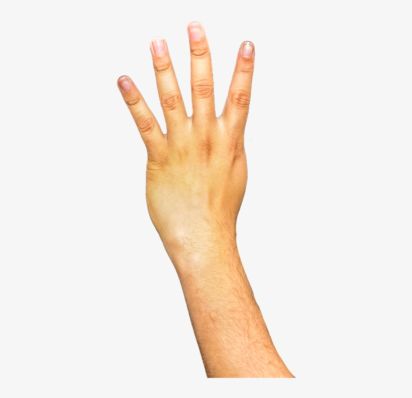 Arm Transparent Background - Arm Transparent Transparent PNG - 540x720 ...