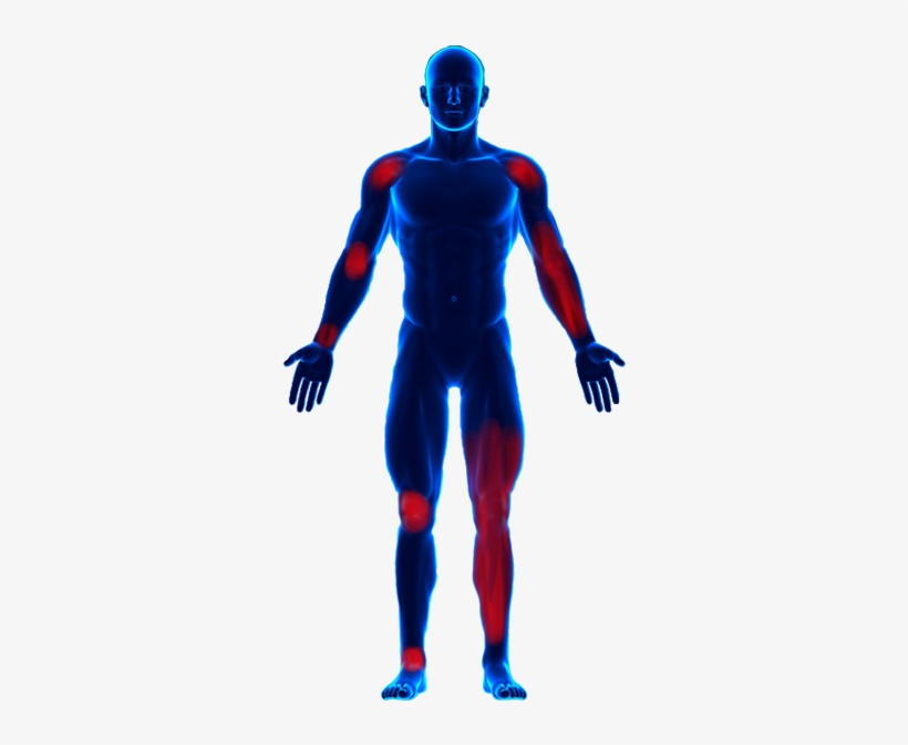 Sore Muscle Png - Body Pain Images Png Transparent PNG - 320x600 - Free ...
