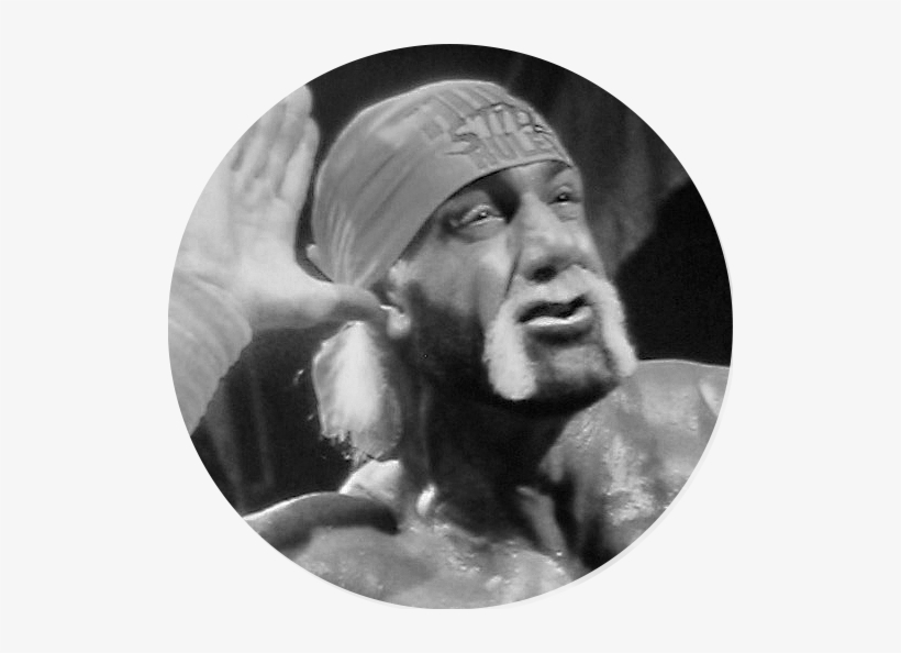 Download Hulk Hogan - Hulk Hogan Black And White - HD Transparent PNG ...