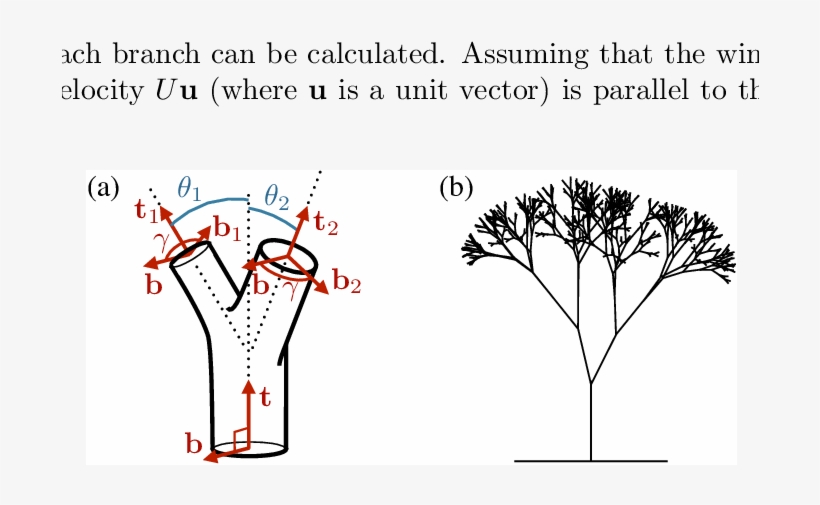 Numerical Tree Model - Tree Transparent PNG - 697x451 - Free Download ...
