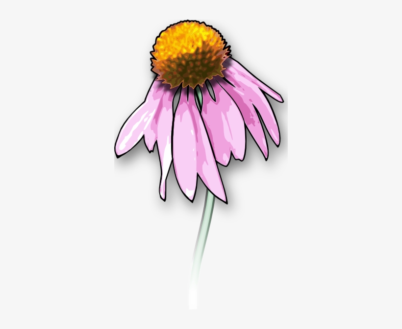 Dead Flower Clip Art At Clker Com - Dead Flower Clipart Transparent PNG ...