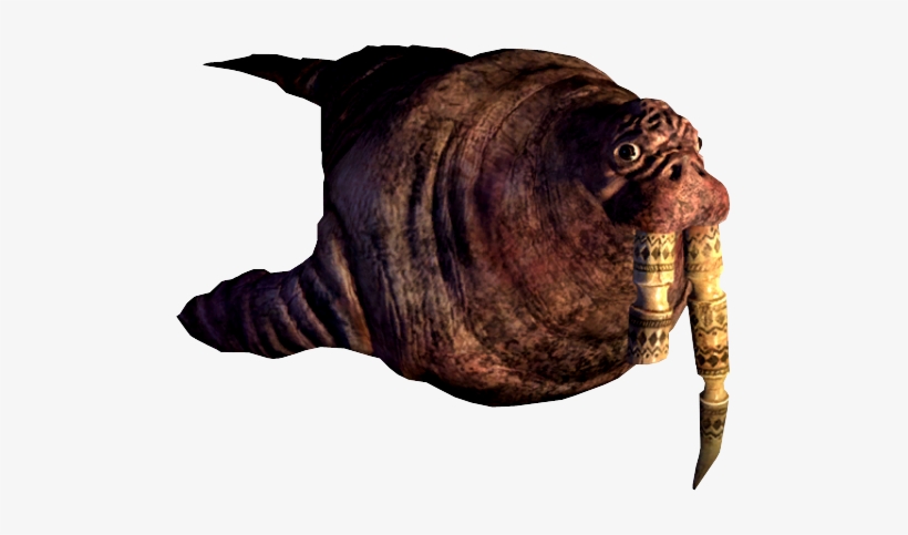 Walrus - Alice Madness Returns Crab Canon Transparent PNG - 501x403 ...