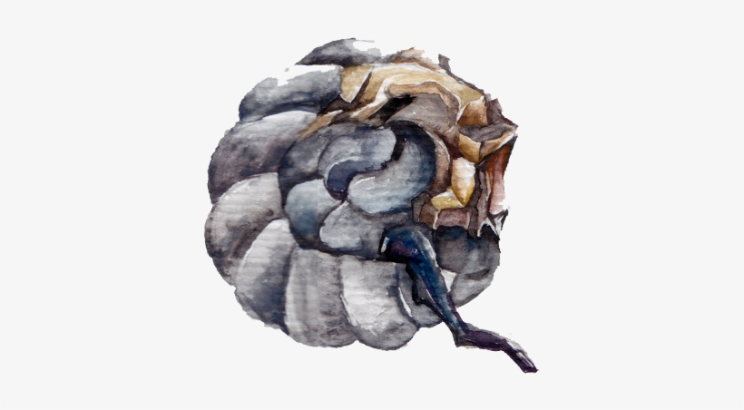 Into Watercolour Painting In Alphabetical Order, And - Illustration ...