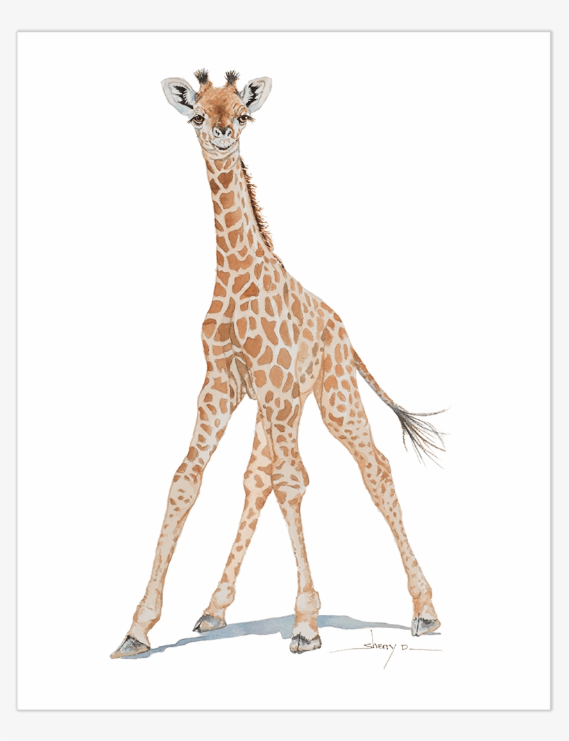 Baby Giraffe Wall Art - Art Transparent PNG - 1000x1000 - Free Download ...