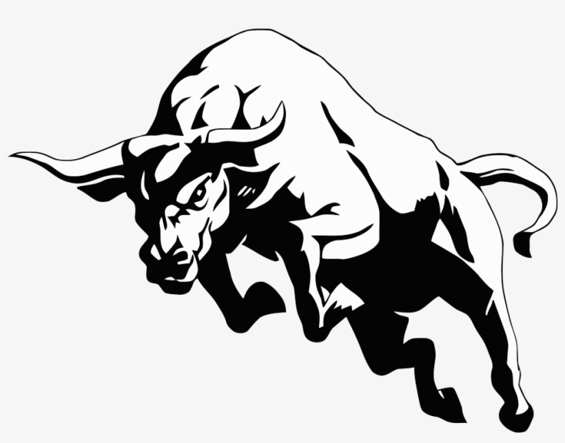Taurus Bull Drawing