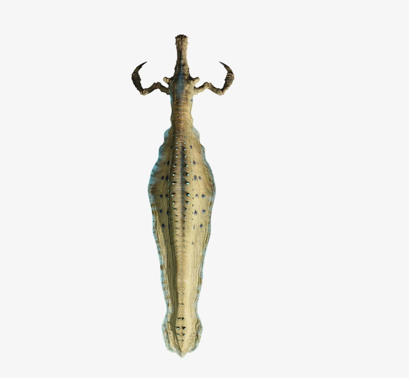 Download Star Wars Colo Claw Fish - HD Transparent PNG - NicePNG.com