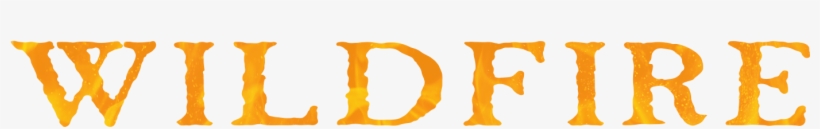 Wildfire Logo 116 Kb - Herba Ricemills Transparent PNG - 1437x300 ...