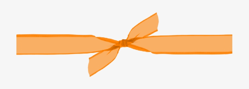 Orange Transparent Divider - Orange Divider Png Transparent PNG ...