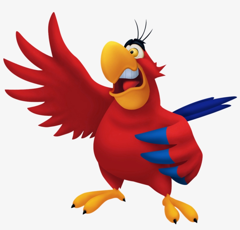 Iago Aladdin Transparent PNG - 1000x892 - Free Download on NicePNG