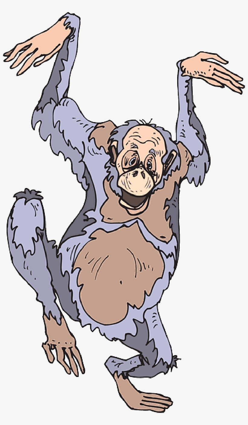Mb Image/png - Hewan Gila Lucu Gerak Transparent PNG - 800x1326 - Free ...