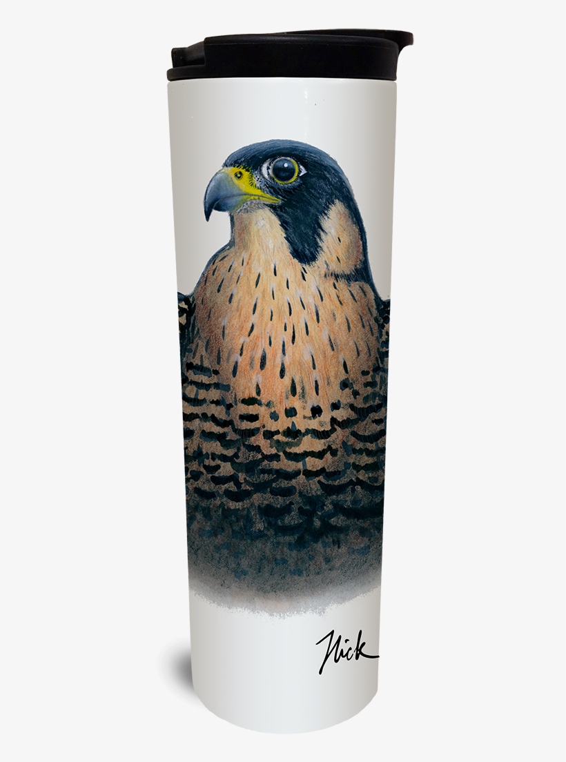 Peregrine Falcon Tumbler - Watermark Transparent PNG - 1024x1365 - Free ...