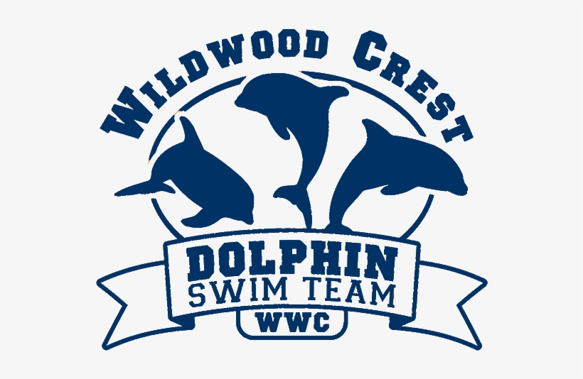 Dolphin Swim Team Logo Transparent PNG - 600x513 - Free Download on NicePNG