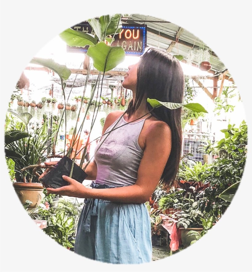 Png - Instagram Transparent PNG - 1000x987 - Free Download on NicePNG