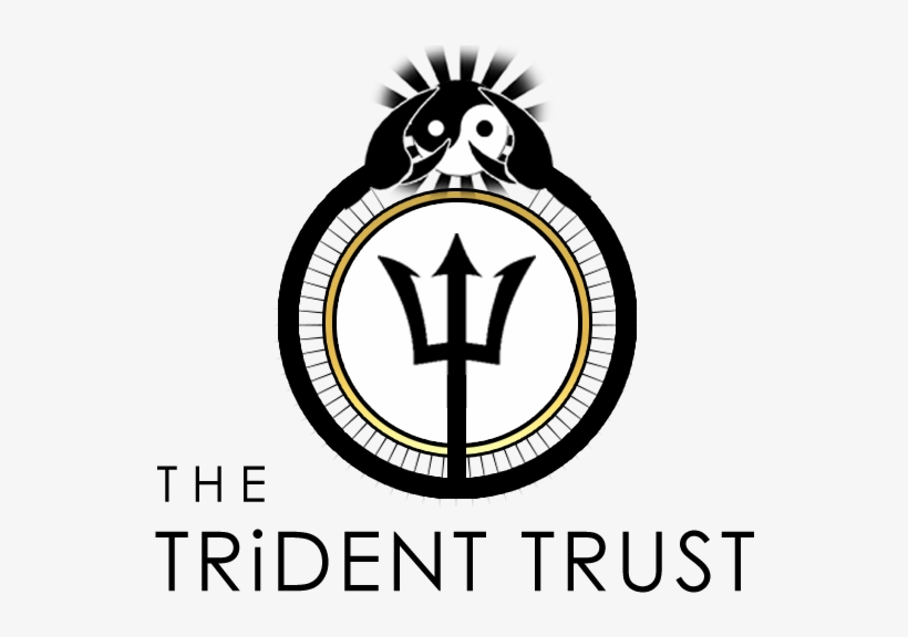 Trident Vision Media The Trident Trust - Barbados Flag 3x5ft Poly ...