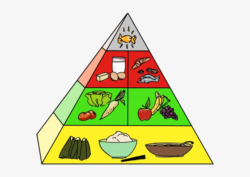 Blank Food Pyramid
