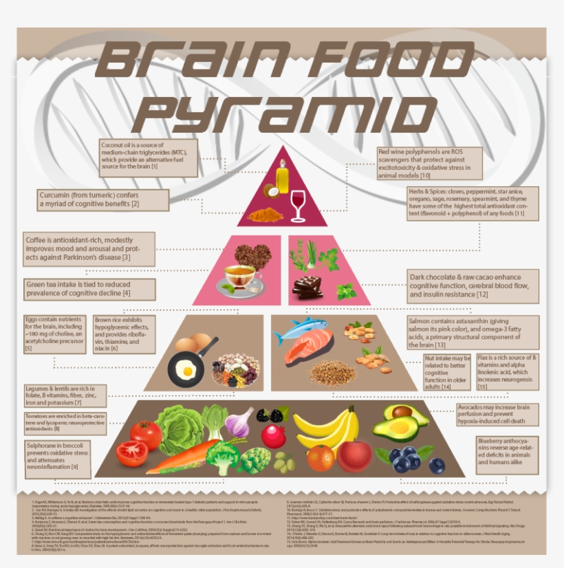 Brain Food Pyramid 5 Key Cognitive Performance Enhancing - Poster ...