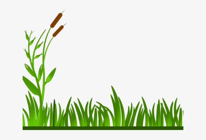 Grassland Clipart