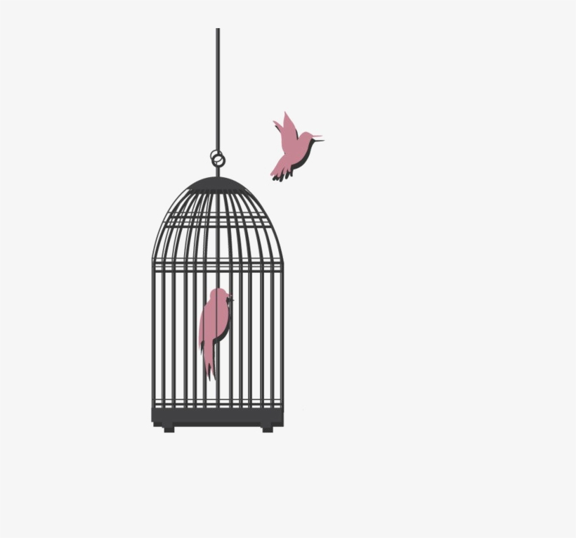 Caged Bird Png Transparent Picture - Portable Network Graphics ...