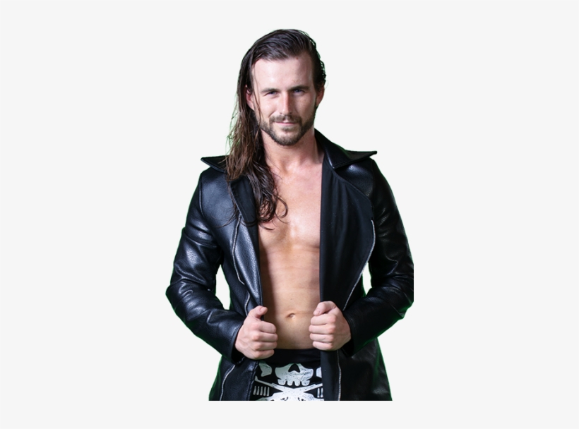 Adam Cole - Wwe Adam Cole Png Transparent PNG - 352x528 - Free Download ...