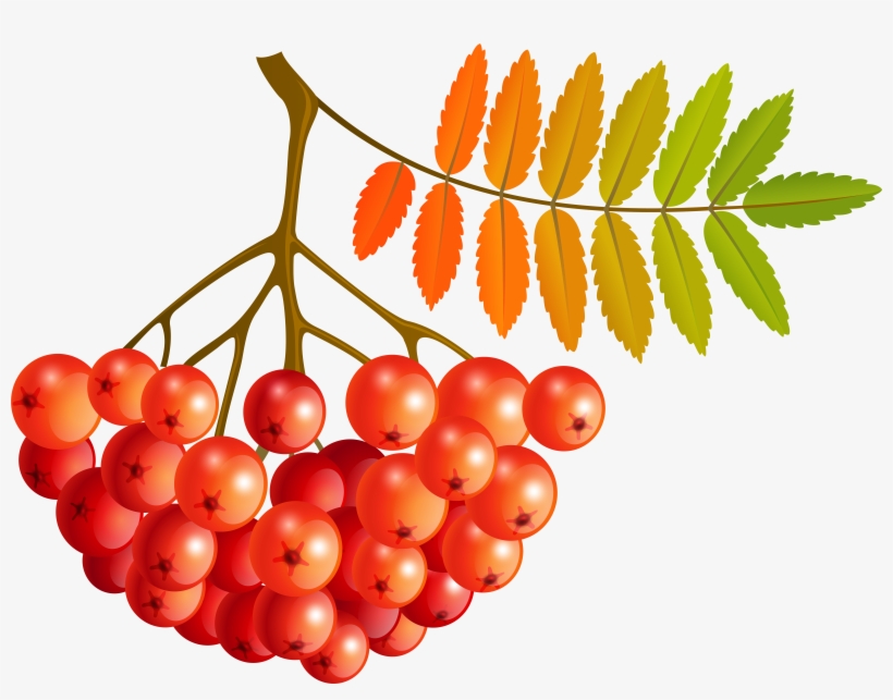 Ash Png Transparent PNG - 8000x5883 - Free Download on NicePNG