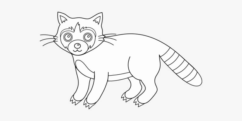 Colorable Raccoon Free Clip Art - Raccoon Clipart Black And White ...