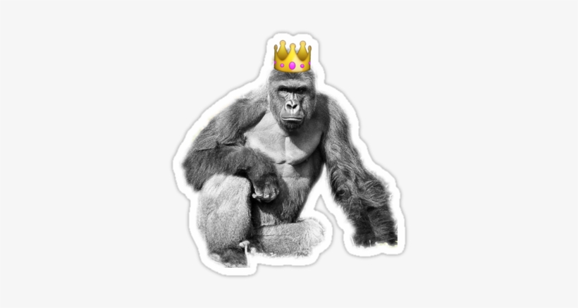 King Harambe Transparent PNG - 375x360 - Free Download on NicePNG