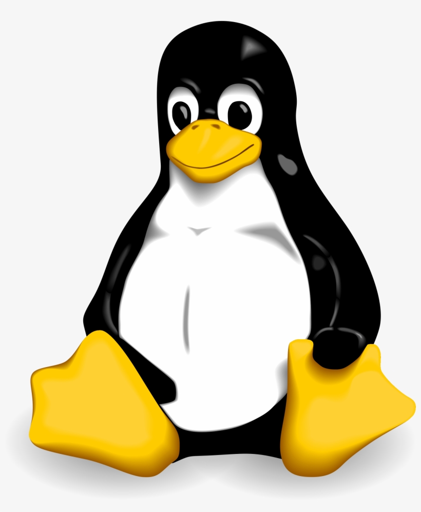 Linux Tux Penguin - Linux Logo Png Transparent PNG - 1000x1160 - Free ...