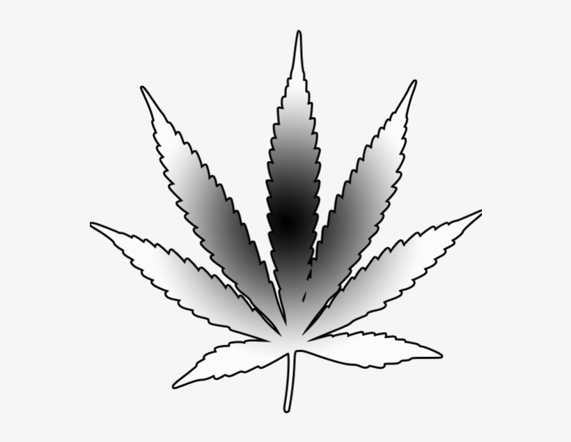 Download Weed Clipart Leaf Outline - Pot Leaf Tattoo Stencil - HD ...