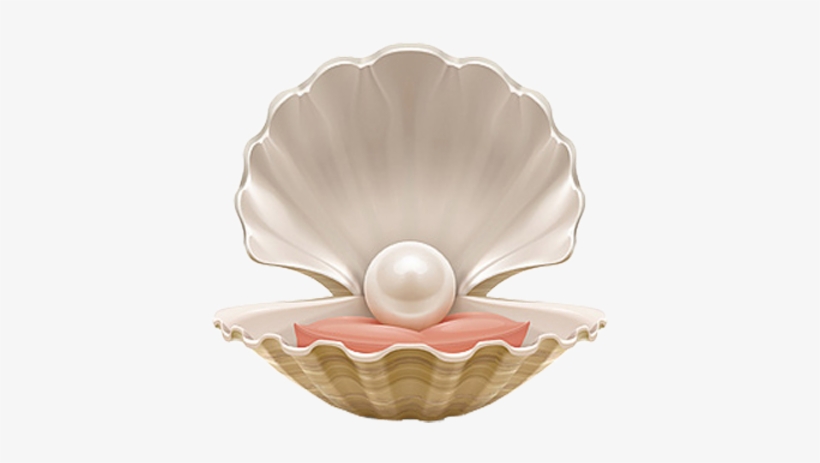 Pearl Shell Png - Pearl Clipart Transparent PNG - 423x408 - Free ...