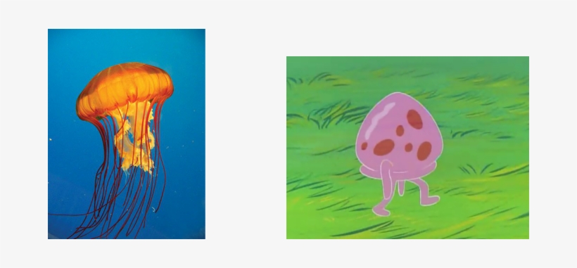 The Jellyfish Has A Very Simple Nervous System And - Nervous System ...