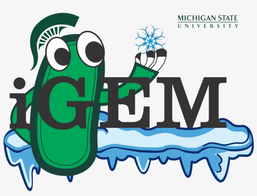 Download Michigan State University - HD Transparent PNG - NicePNG.com