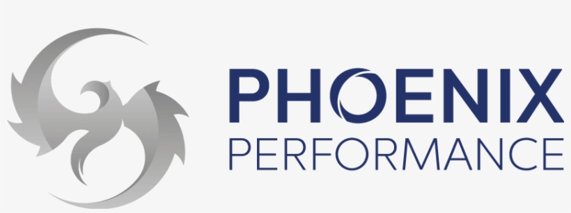 Download Previous - Next - Phoenix Group Logo - HD Transparent PNG ...