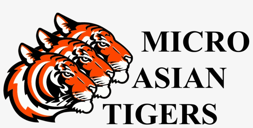 Download Micro Asian Tigers Logo - Cayo Costa State Park - HD ...