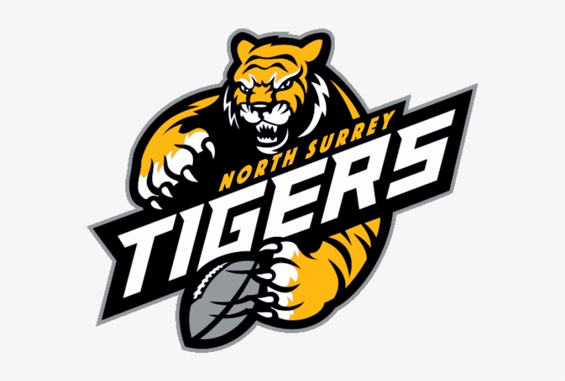 Ns Tigers Logo - Tigers For Logos Transparent PNG - 576x480 - Free ...