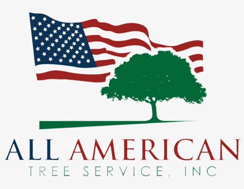 Logo-bg - American Flag And Tree Logo Transparent PNG - 800x557 - Free ...
