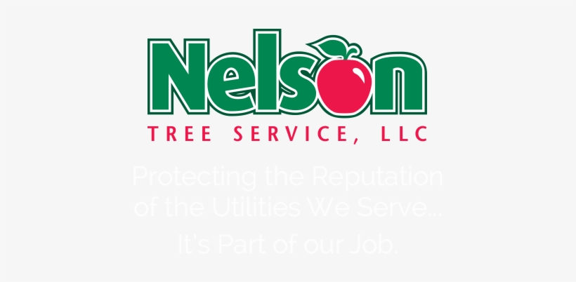 Nelson Tree Service Logo Transparent PNG - 572x335 - Free Download on ...