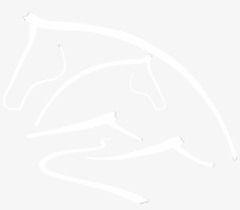 Ecw Logo Header - Illustration Transparent PNG - 5056x4157 - Free ...