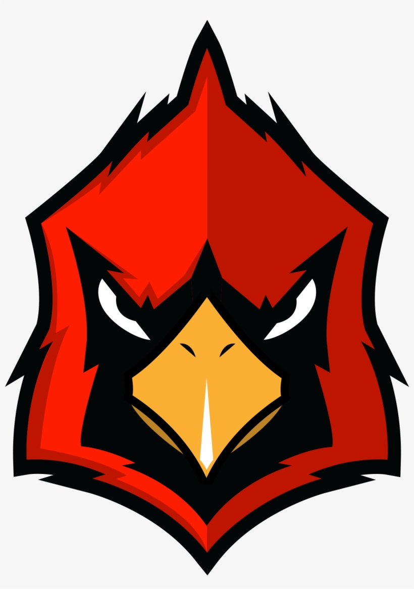 Cardinal Logo - Cardinals Png Transparent PNG - 1186x1631 - Free ...