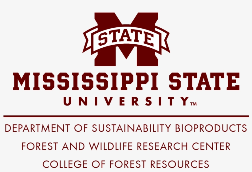 Horizontal Example - - Msstate College Of Arts And Sciences Transparent ...