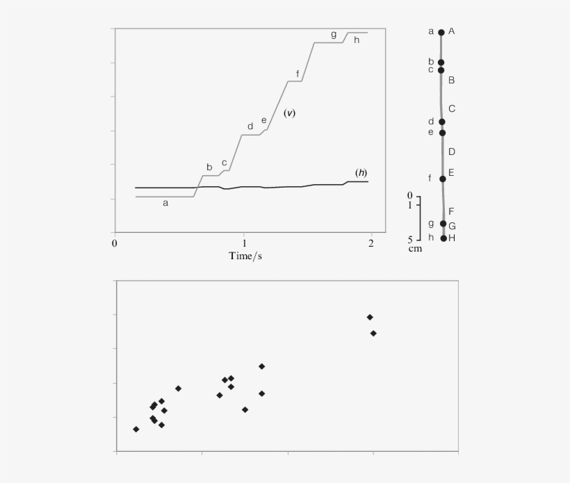 Speed Drawing Line - Drawing Transparent PNG - 501x615 - Free Download ...