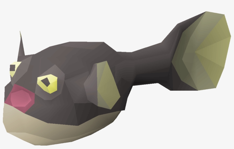 Puffer Fish Deflated - Wiki Transparent PNG - 997x589 - Free Download ...