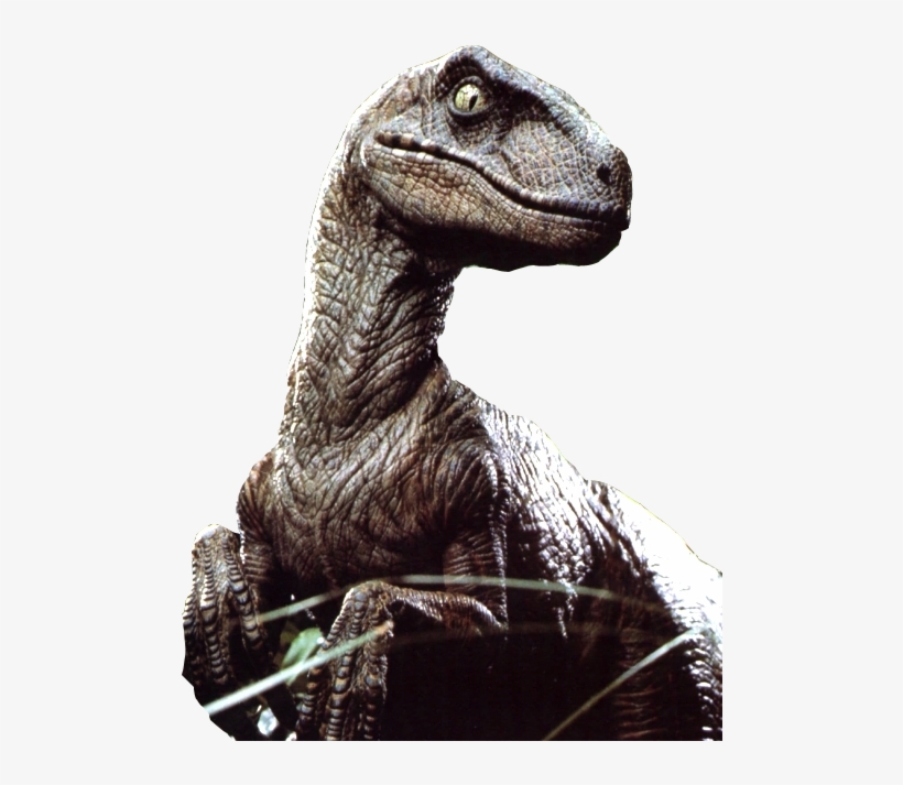Velociraptor Png File - Raptor With A Hat Transparent PNG - 492x660 ...