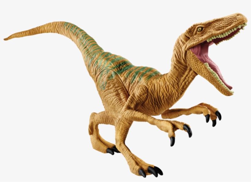 Jurassic World Raptor Echo - Velociraptor Jurassic World Echo ...