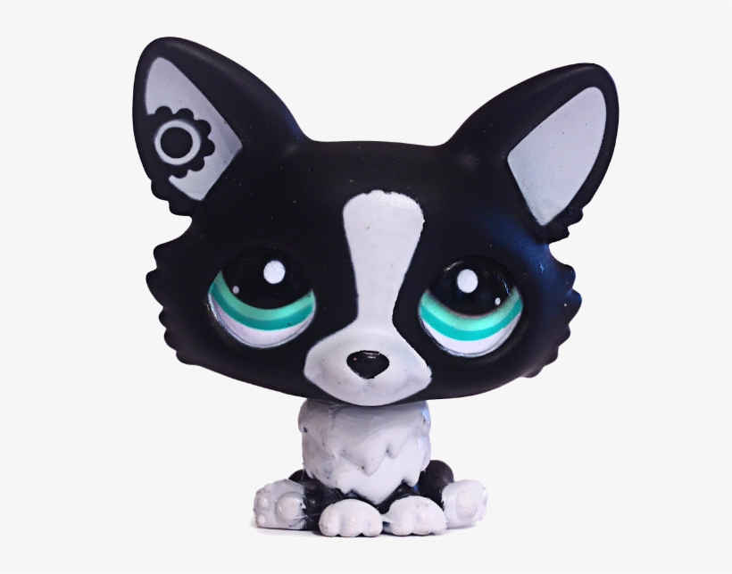 Lps Black Corgi Transparent PNG - 640x640 - Free Download on NicePNG