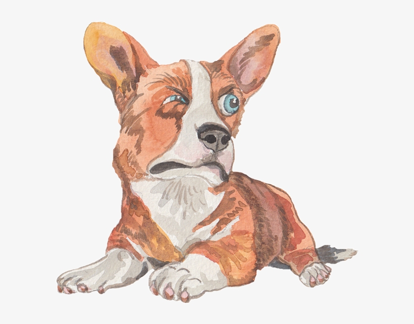 Grumpy Animals By Rhea Dennis Messages Sticker-4 - Pembroke Welsh Corgi ...