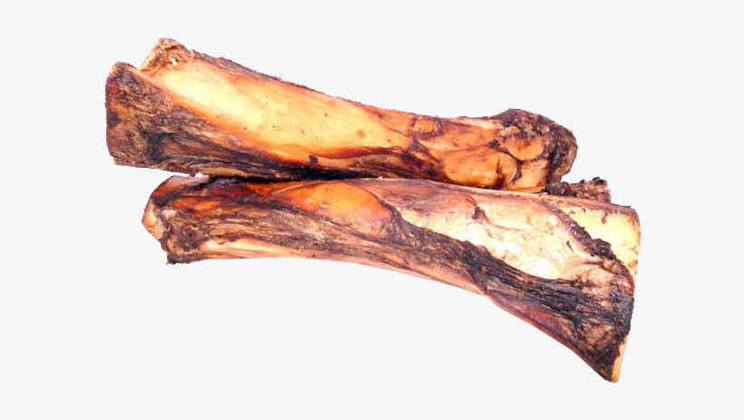 Are Real Bones Good For Dogs